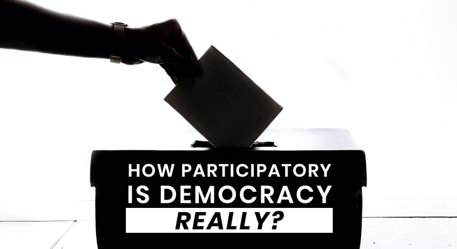 How Participatory is Democracy Really? - Bezaire & Associates